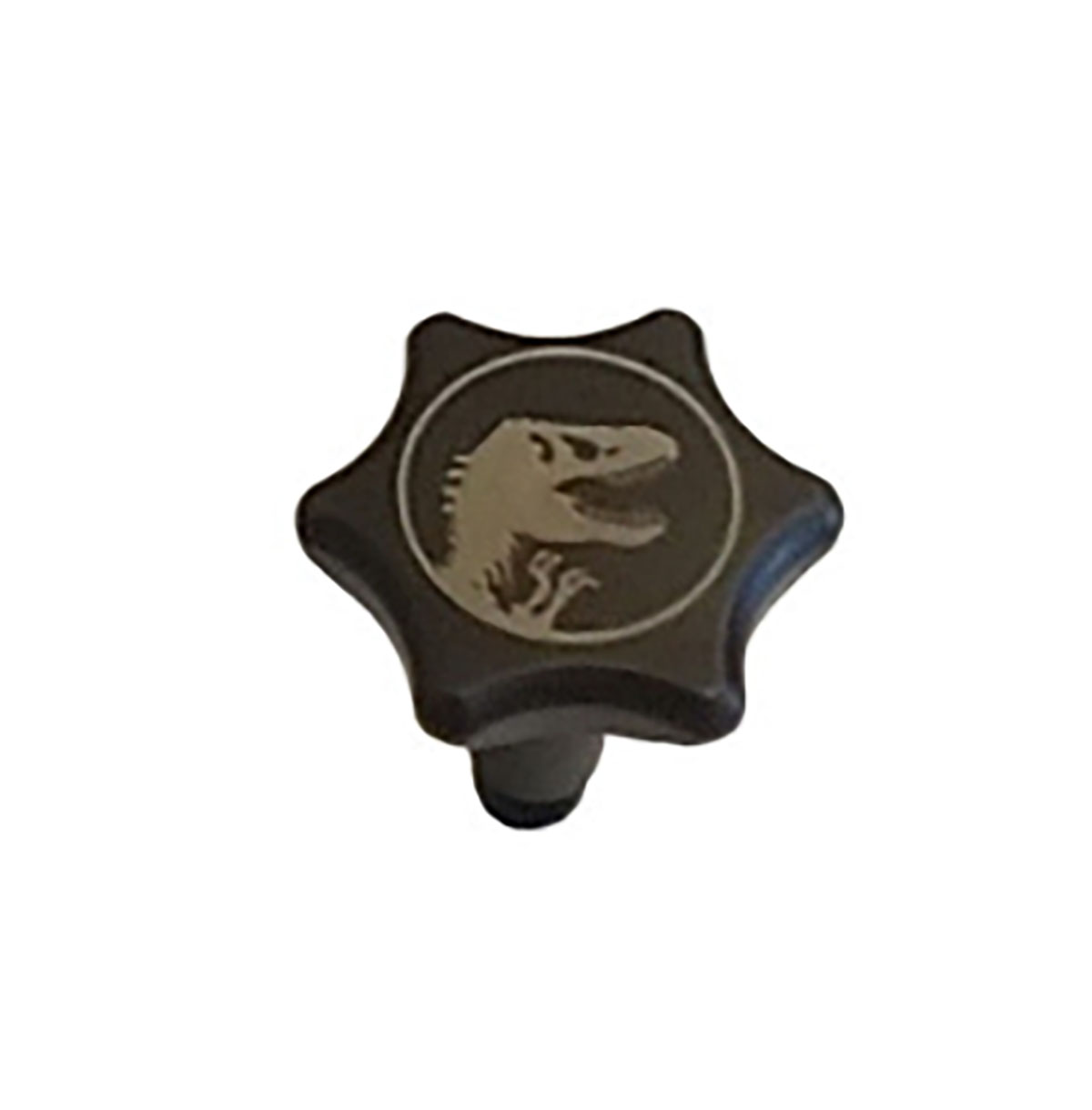 RANGER POINT Marlin T-Rex Lever Takedown Screw (black) - Brownells France